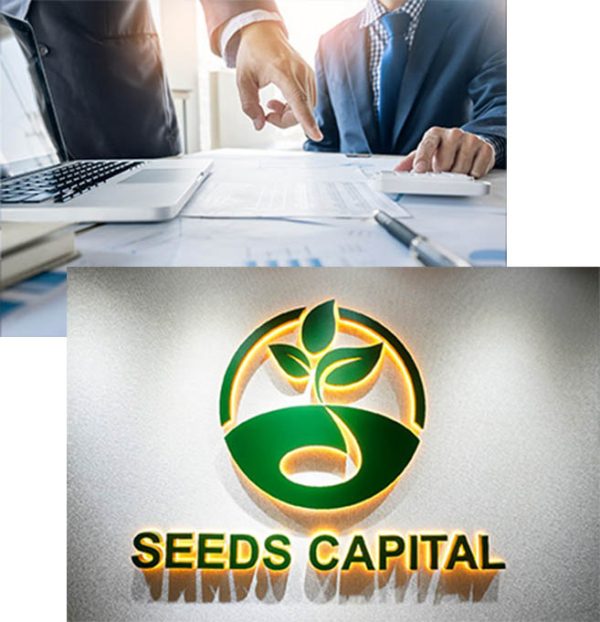 Company Overview - Seeds Capital Limited